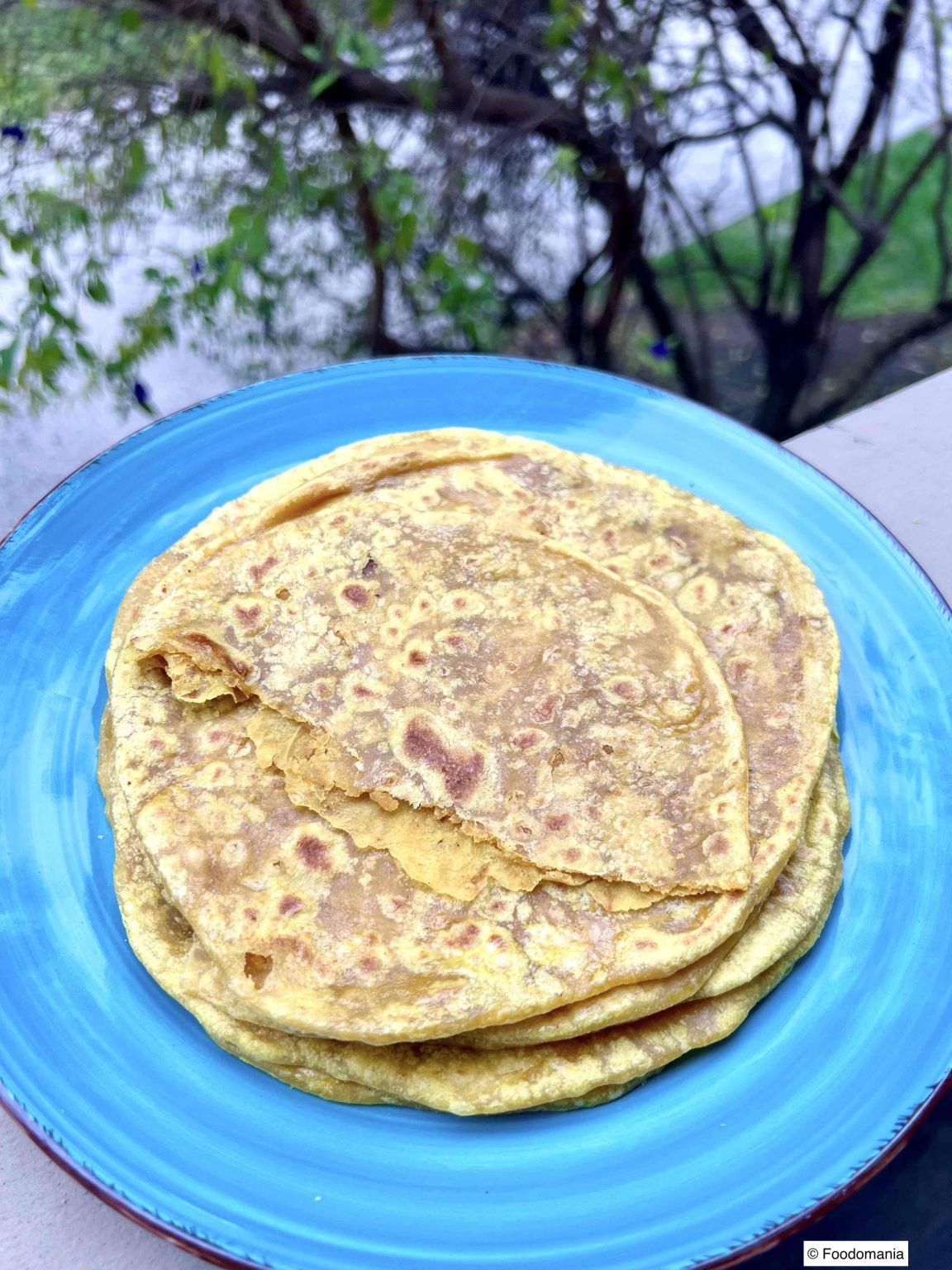 Puran Poli Recipe | How to make Holige (Bobbattlu / Obbattu)